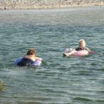 22 Totally FREE Cape Cod Activities and Attractions