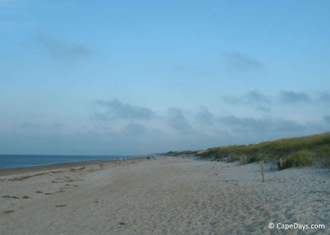 Which Stables Offer Guided Horseback Riding on Cape Cod?