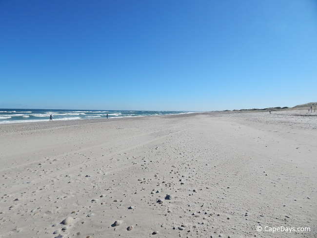 Which Stables Offer Guided Horseback Riding on Cape Cod?